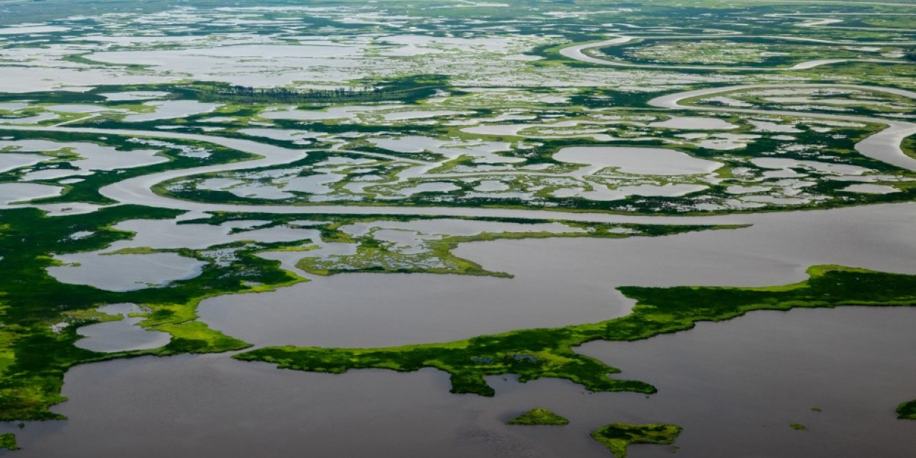 CAP Enforcement Scorecard: A Deeper Understanding | Chesapeake ...